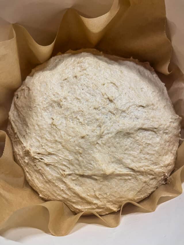 Whole Wheat Artisan Bread - Cast Iron Skillet Cooking